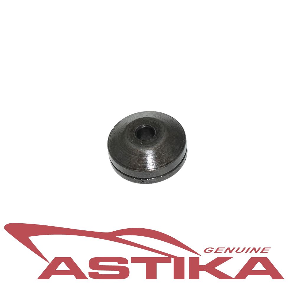 ASTIKA lnternational Co.,Ltd. - Products